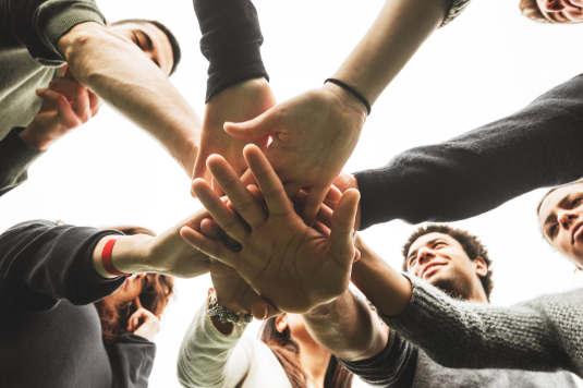 The Top 10 Volunteer Management Solutions for Nonprofits in 2024