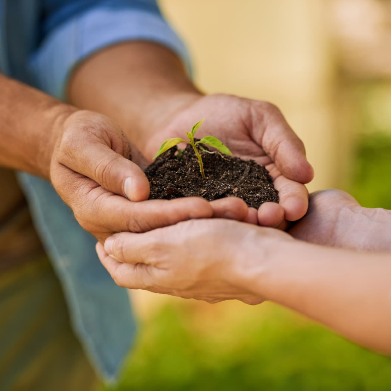 Build More Community Partnerships with VolunteerHub